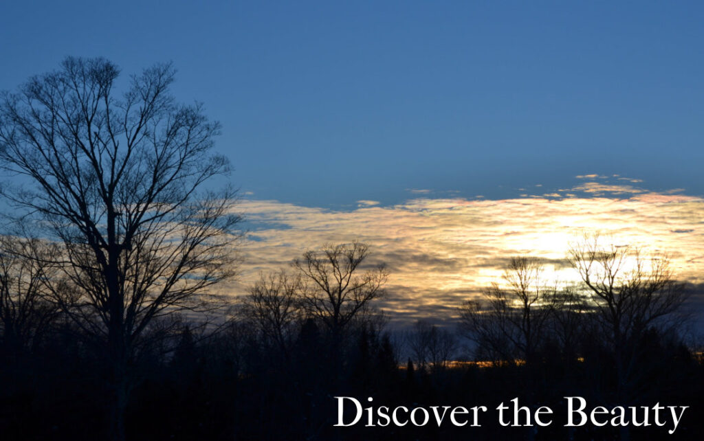 Home - Town of Armstrong Creek